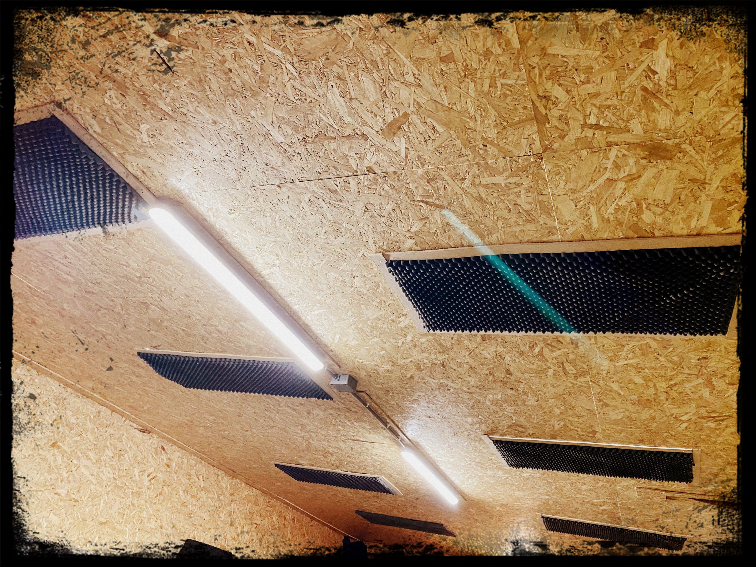 Gallery – Black Stone Roses